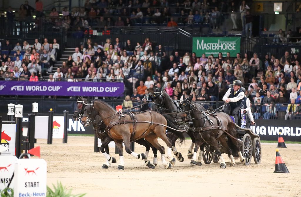 40. International STUTTGART GERMAN MASTERS Horse Show - 11 to 15 ...