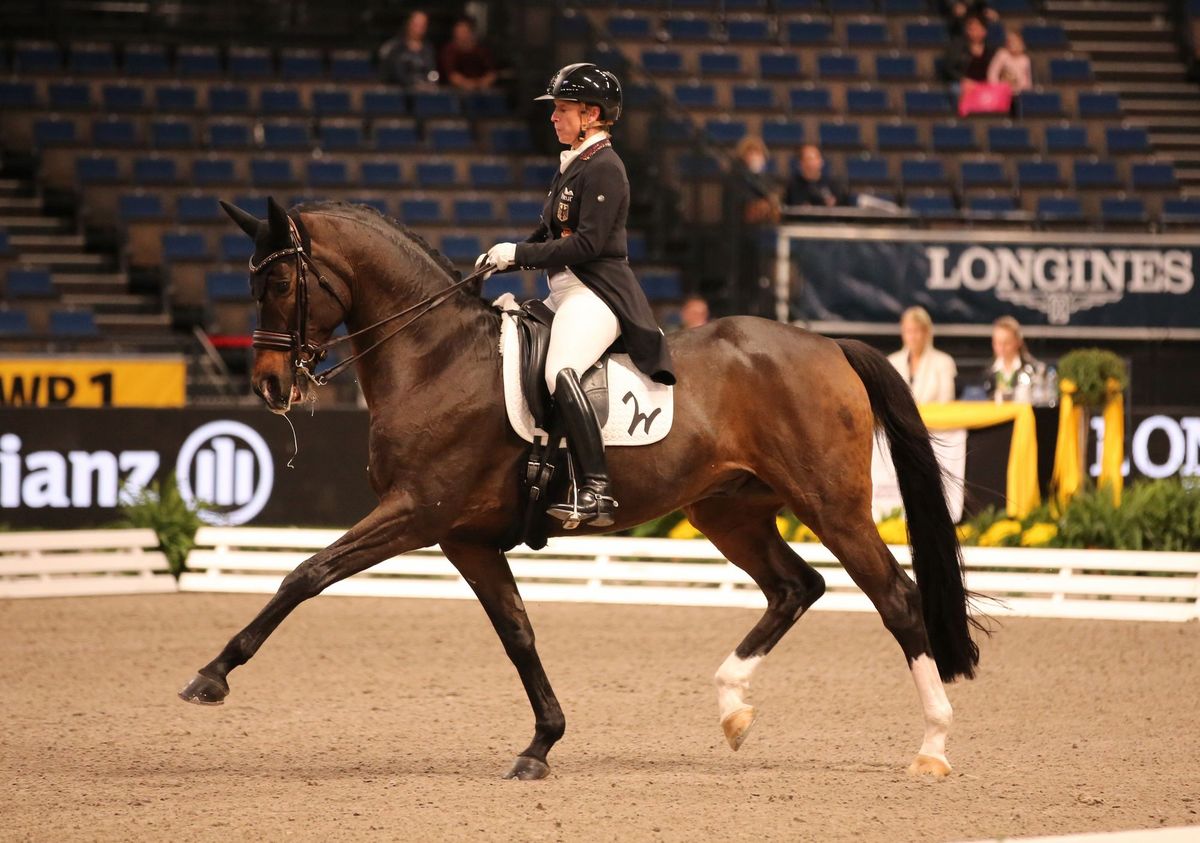 40. Internationale Reitturnier STUTTGART GERMAN MASTERS vom 11.-15 ...