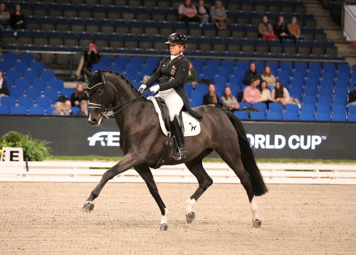 40. Internationale Reitturnier STUTTGART GERMAN MASTERS vom 11.-15 ...