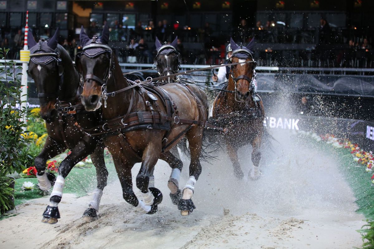 40. International STUTTGART GERMAN MASTERS Horse Show - 11 to 15 ...